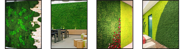 Ahşap Akustik Lambri Panel | Detaypoliuretan